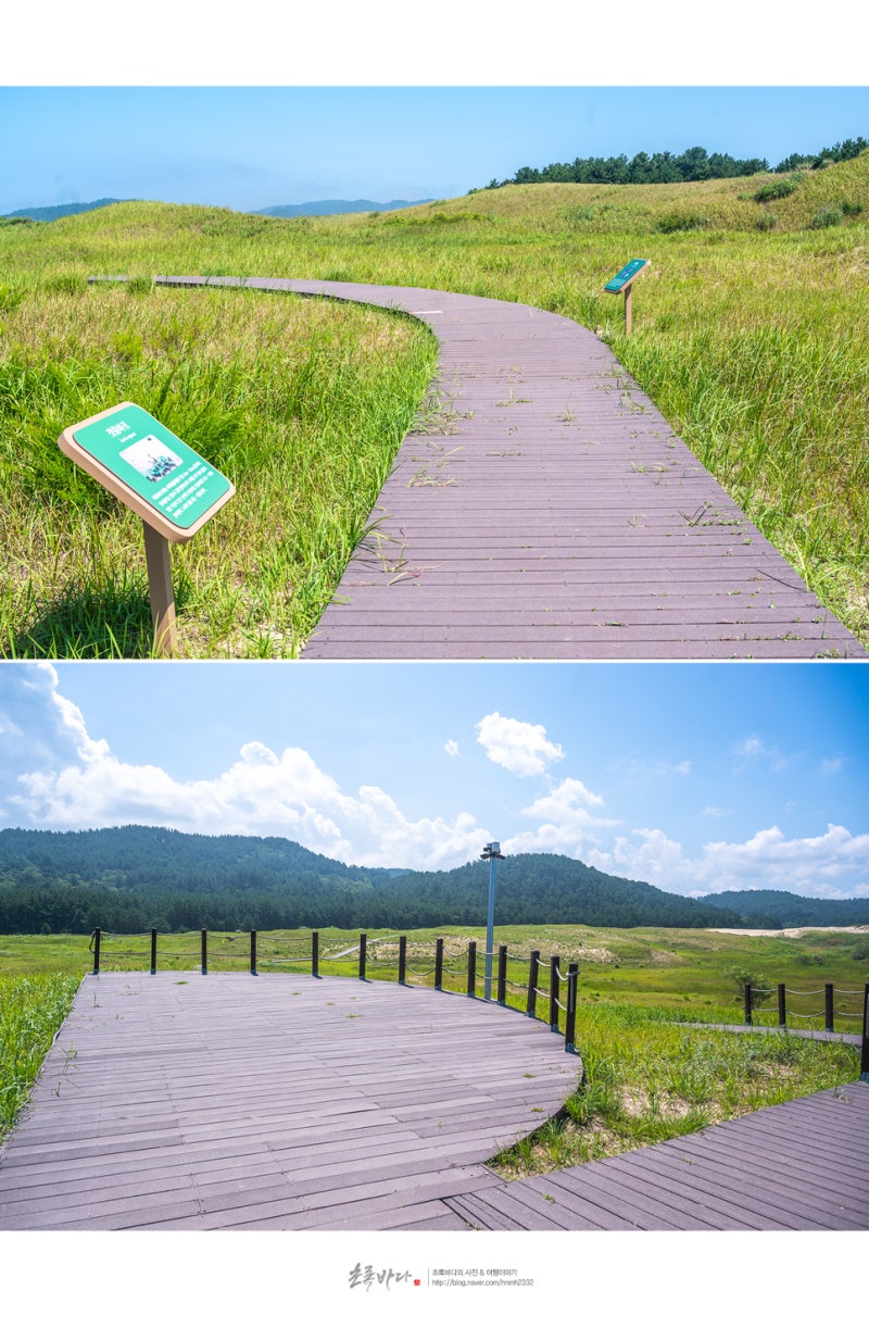 충남 태안 가볼만한곳 태안 여행 코스 볼거리 먹거리 네이버 블로그