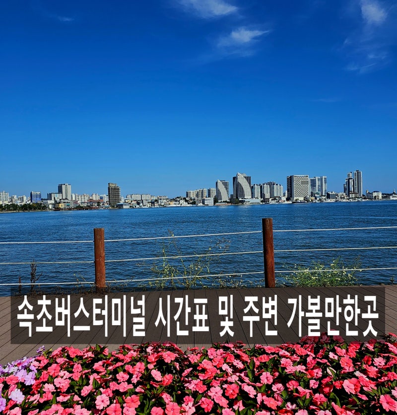 속초버스터미널 고속· 시외 시간표 및 터미널 주변 가볼만한곳 네이버 블로그