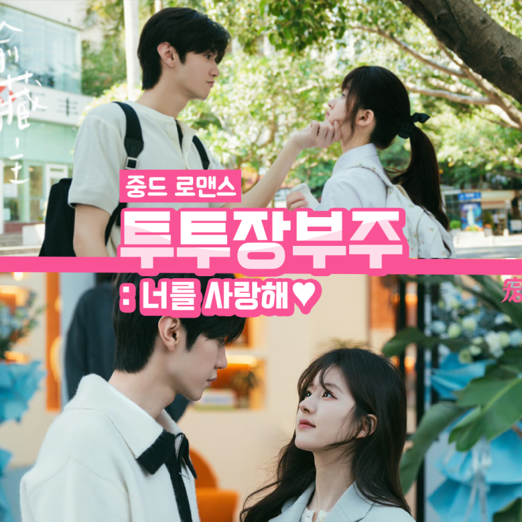 넷플릭스 중국 드라마 추천 투투장부주 이쁘고 사랑스러워조로사진철원 Ott