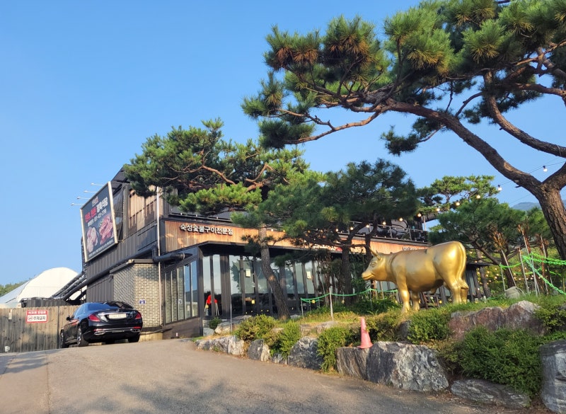 선일목장 정육식당 가족식사하기 좋은 백운호수 고기집 솔직 후기 네이버 블로그