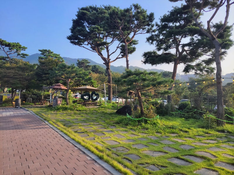 선일목장 정육식당 가족식사하기 좋은 백운호수 고기집 솔직 후기 네이버 블로그