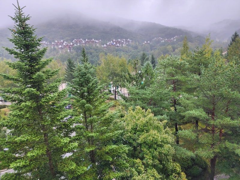 평창 숙소 모나 용평리조트 타워콘도 18평 숙박 후기 객실 상태 물품 하반 조식 네이버 블로그