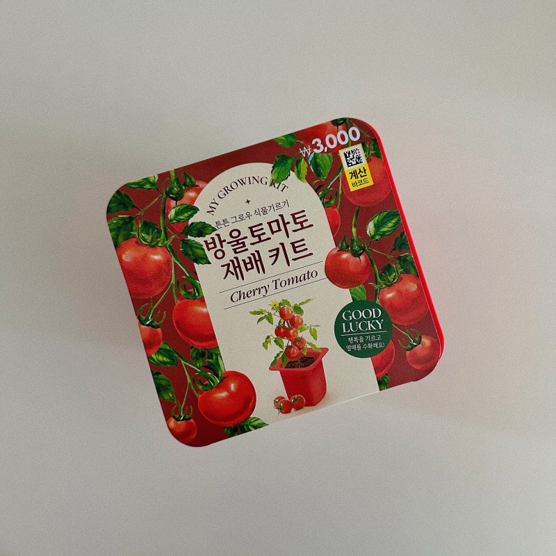다이소 방울토마토 재배 키트 심기 네이버 블로그
