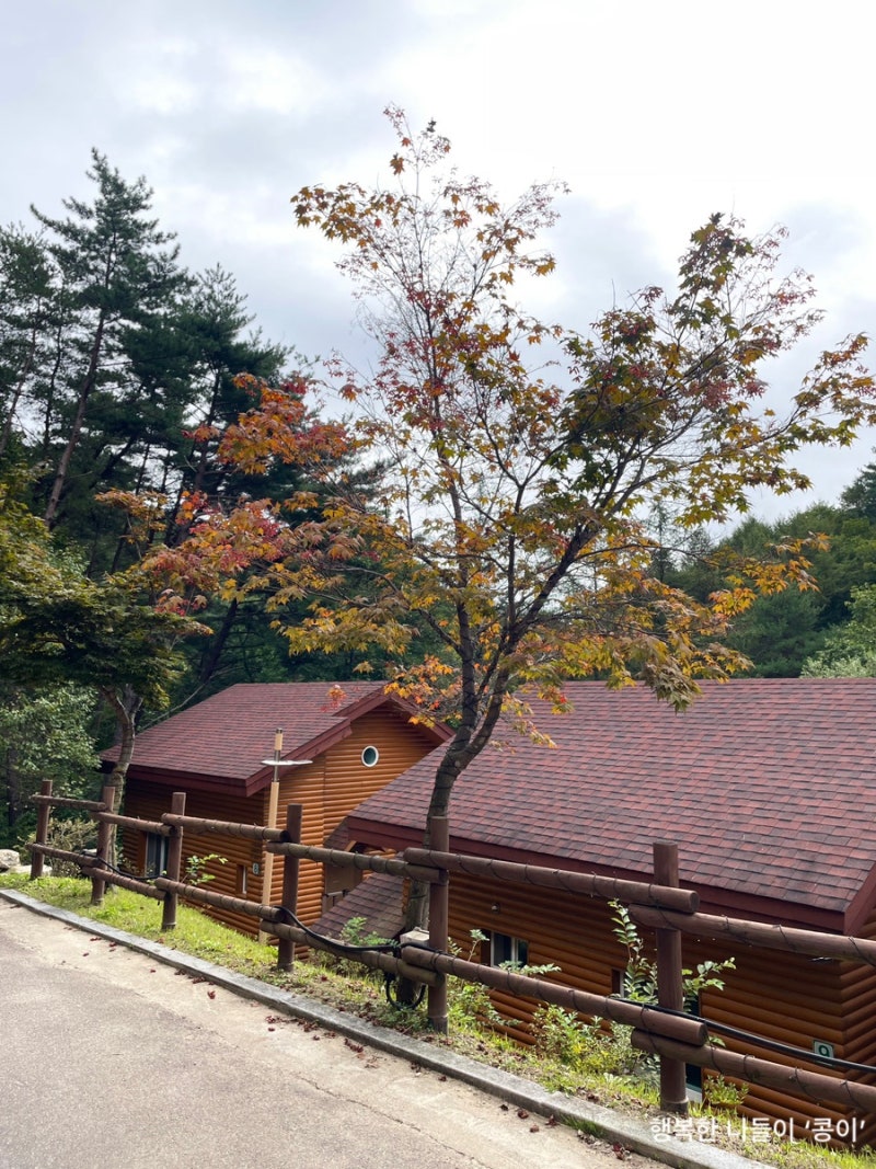 경남 거창 가 볼 만한 곳 금원산자연휴양림 숲속의 집 기백산 네이버 블로그