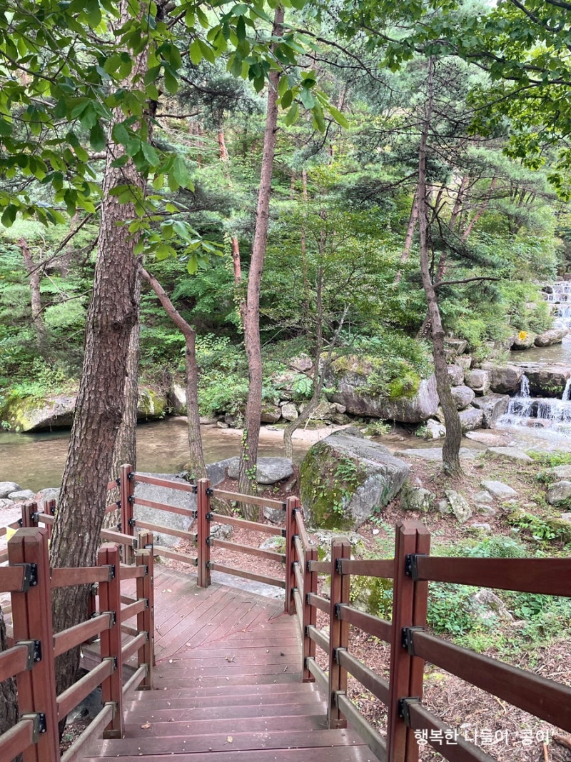 경남 거창 가 볼 만한 곳 금원산자연휴양림 숲속의 집 기백산 네이버 블로그