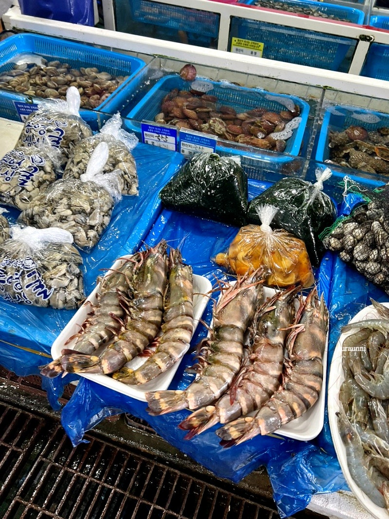 광주 풍암동 수산시장 킹크랩 시세 최신 정보 매월동 서부농수산물도매시장 네이버 블로그