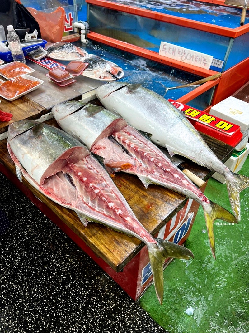 광주 풍암동 수산시장 킹크랩 시세 최신 정보 매월동 서부농수산물도매시장 네이버 블로그