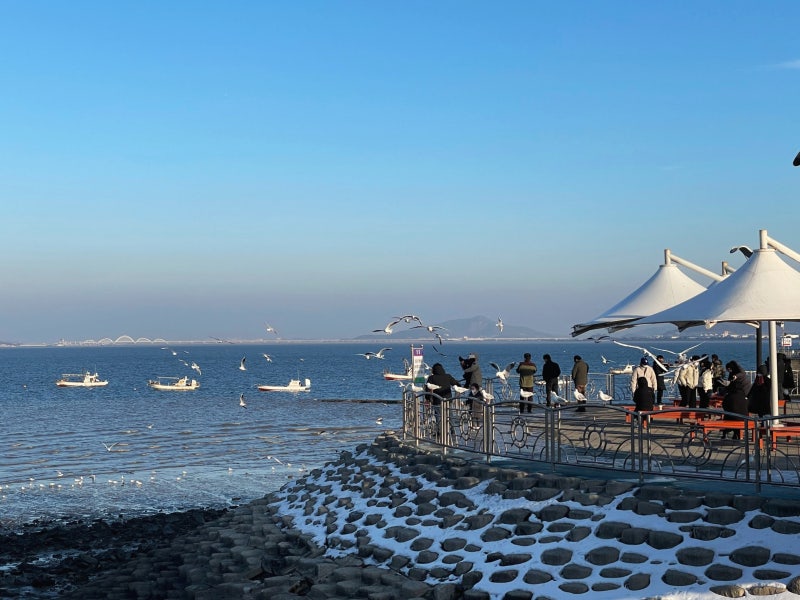 당진 여행코스 삽교호 관람차 놀이동산 주변 놀거리 알아보기 네이버 블로그