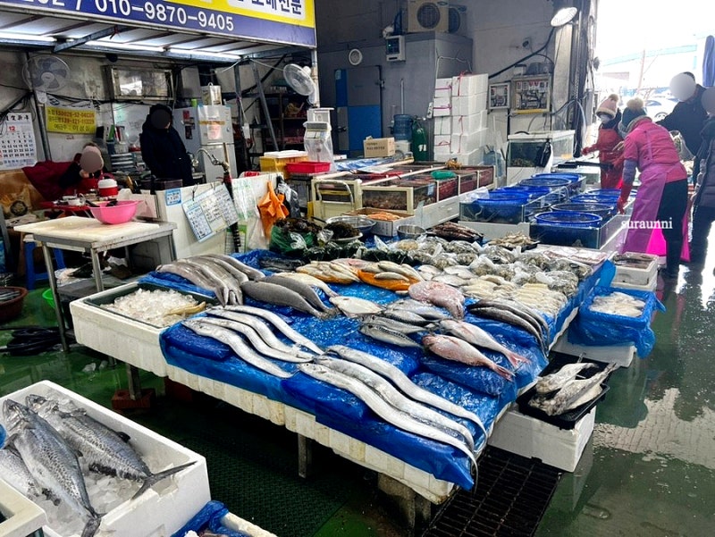 광주 풍암동 수산시장 킹크랩 시세 최신 정보 매월동 서부농수산물도매시장 네이버 블로그
