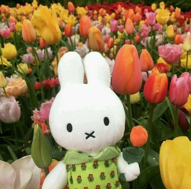 ๐ฐ๊ท์ฌ์ด ํ ๋ผ ์ธ์คํ ์นดํก ํ์ฌ ์ธํ ์บ๋ฆญํฐ ๋ชจ์๐ฐ ๋ค์ด๋ฒ ๋ธ๋ก๊ทธ