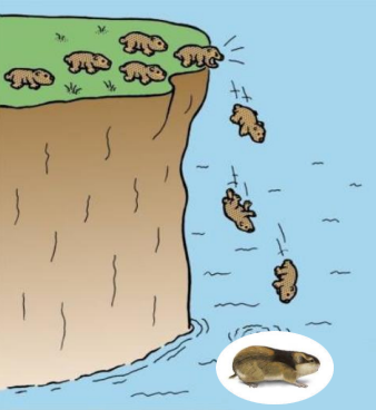 주식은 왜 쌀 때 팔고, 비쌀 때 다시 살까? : 네이버 블로그