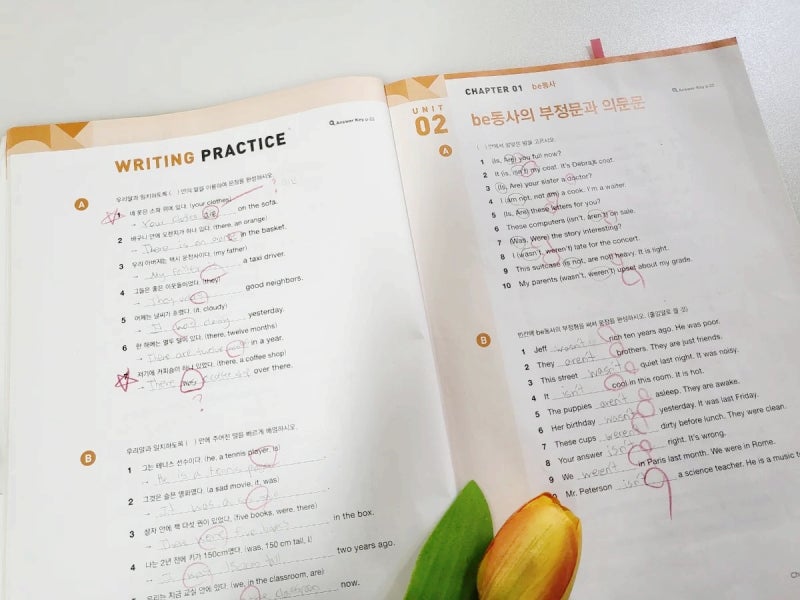 초등 중등 영어 문법책 그래머인 사이드 1 2 네이버 블로그