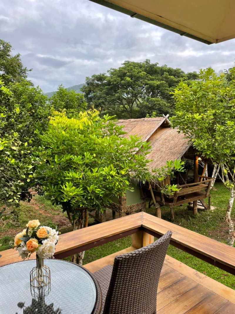 태국 치앙마이 숙소 타완리버사이드 엘리펀트리조트 (Tawan Riverside) - 코끼리 모닝콜, 조식 후기 2day ...