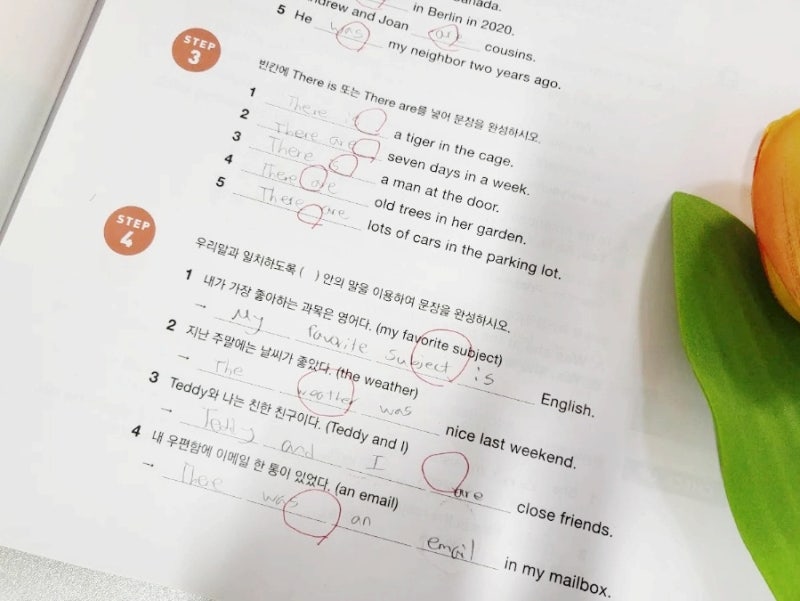 초등 중등 영어 문법책 그래머인 사이드 1 2 네이버 블로그