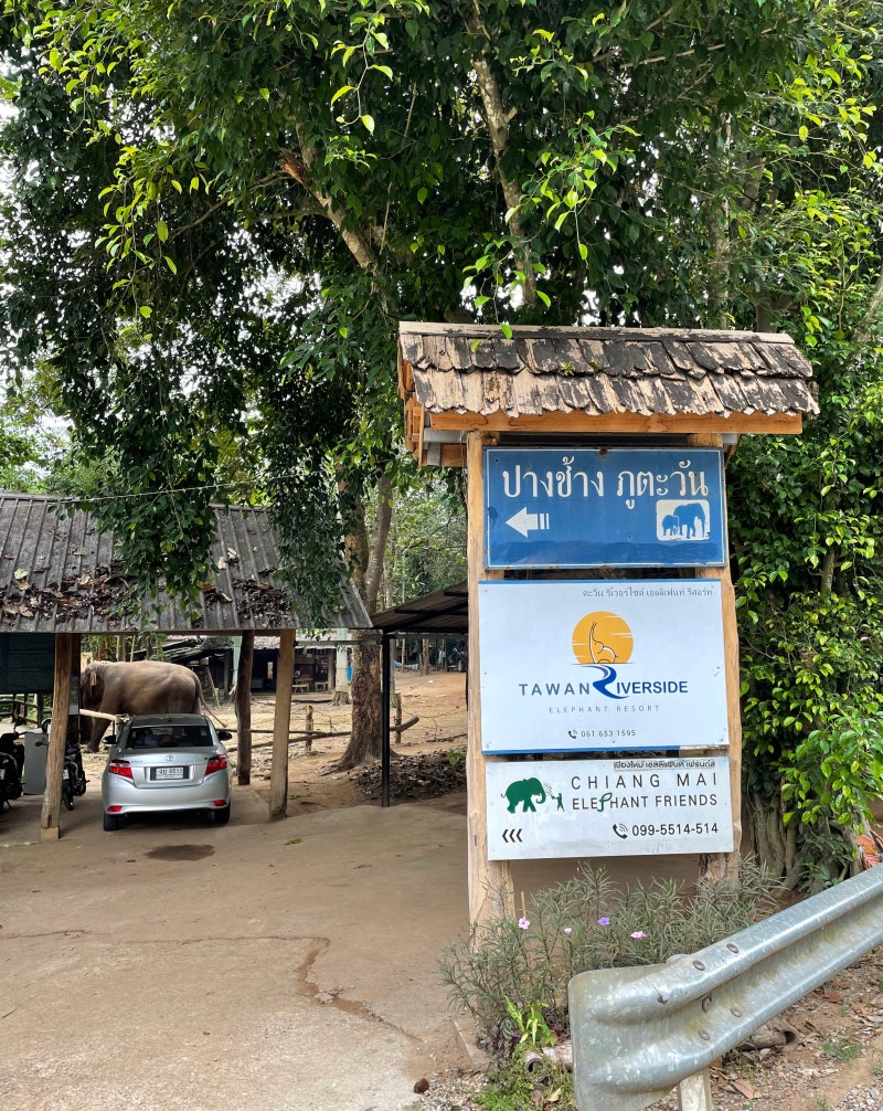 태국 치앙마이 방갈로숙소 타완 리버사이드 엘리펀트리조트 (Tawan Riverside) 코끼리호텔,타완레스토랑 후기 - 1day ...