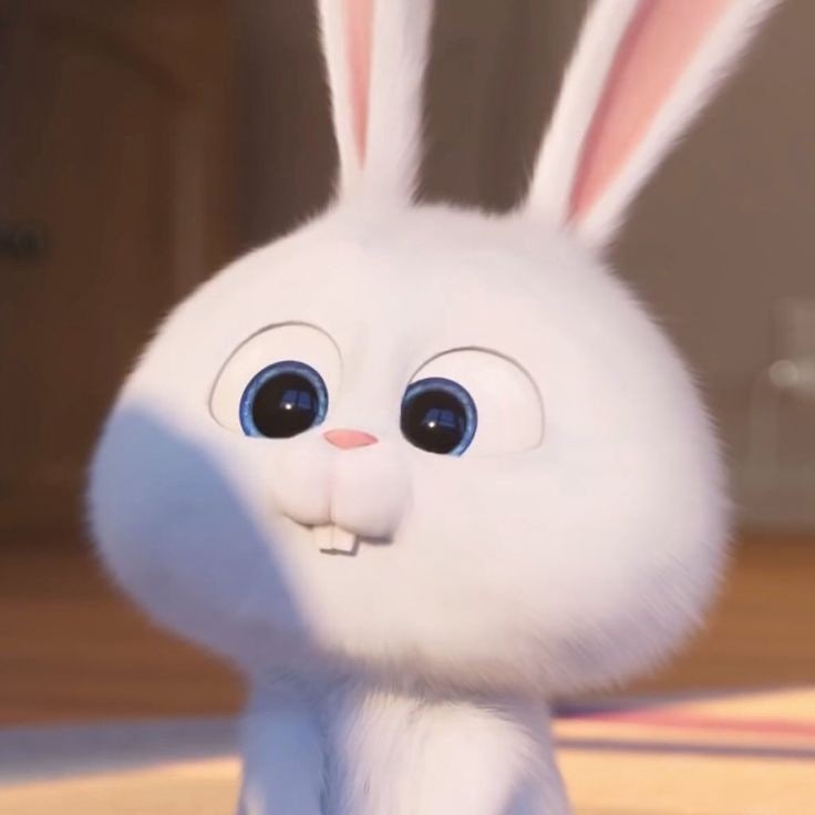🐰귀여운 토끼 인스타 카톡 프사 인형 캐릭터 모음🐰 네이버 블로그
