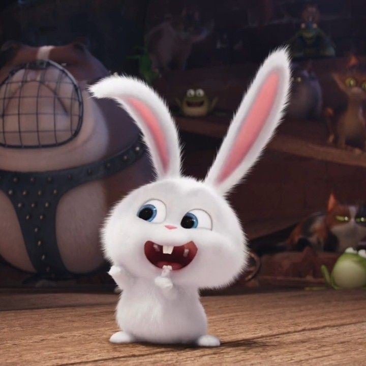 🐰귀여운 토끼 인스타 카톡 프사 인형 캐릭터 모음🐰 네이버 블로그