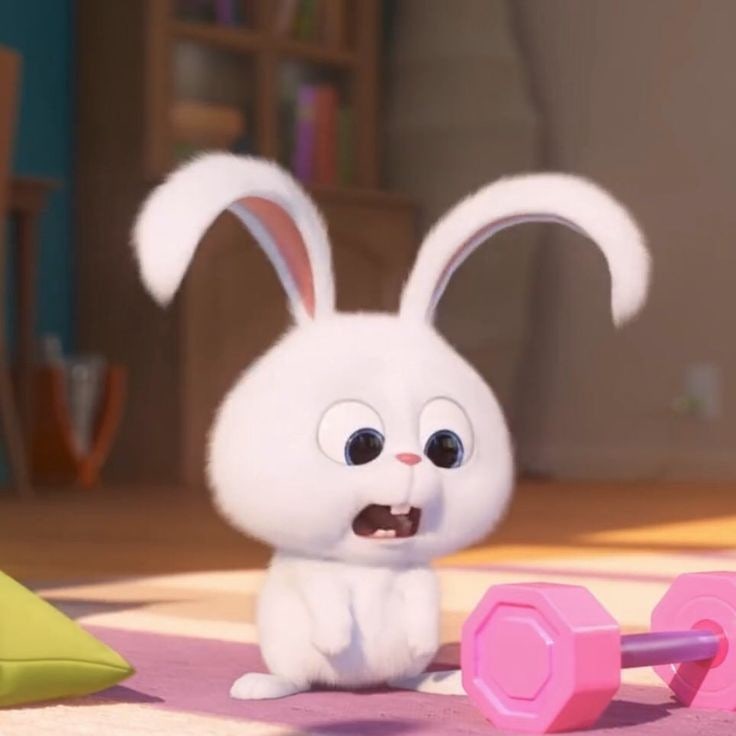 ๐ฐ๊ท์ฌ์ด ํ ๋ผ ์ธ์คํ ์นดํก ํ์ฌ ์ธํ ์บ๋ฆญํฐ ๋ชจ์๐ฐ ๋ค์ด๋ฒ ๋ธ๋ก๊ทธ