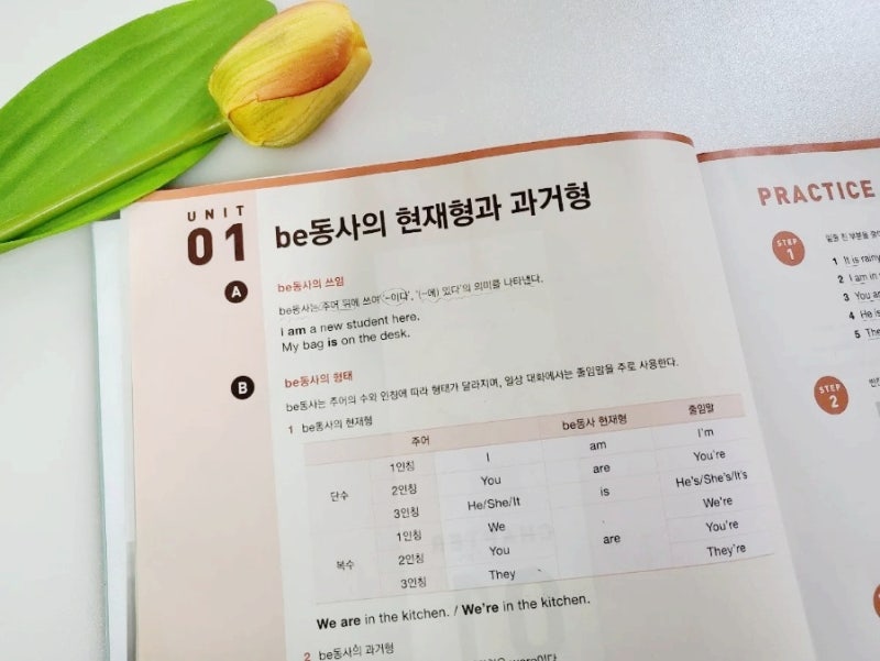 초등 중등 영어 문법책 그래머인 사이드 1 2 네이버 블로그