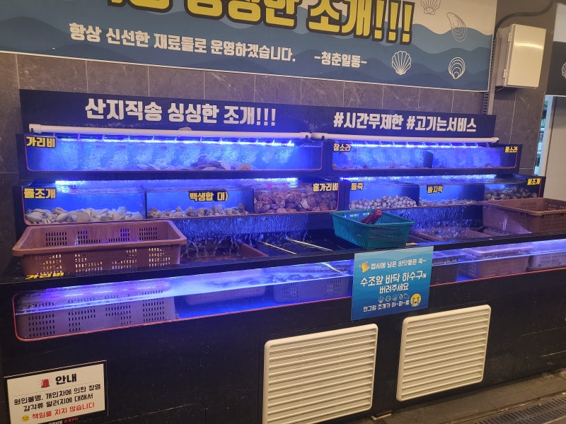 범계 맛집 평촌 맛집 범계 맛집 청춘 무한리필 조개구이 안양범계점 Feat 시간 무제한 고기 포함 네이버 블로그