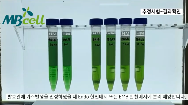 [식품공전 실험] 대장균군 정성시험 - BGLB배지법 / 추정시험, 확정시험, 완전시험 한번에 알아보기/ BGLB 2% ...