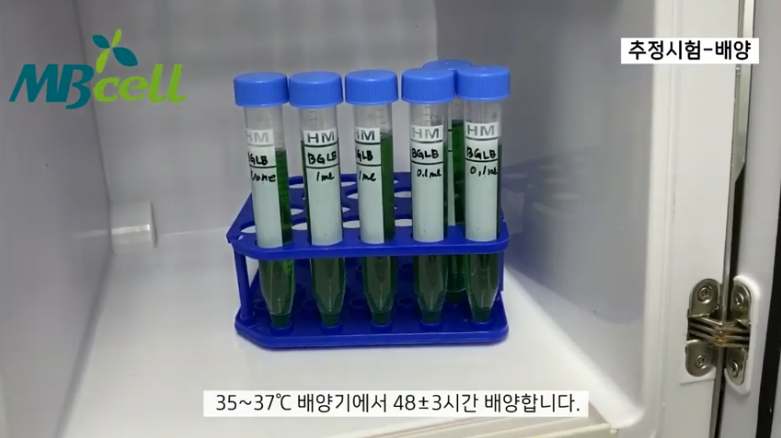 [식품공전 실험] 대장균군 정성시험 - BGLB배지법 / 추정시험, 확정시험, 완전시험 한번에 알아보기/ BGLB 2% ...