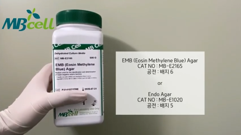 [식품공전 실험] 대장균군 정성시험 - BGLB배지법 / 추정시험, 확정시험, 완전시험 한번에 알아보기/ BGLB 2% ...