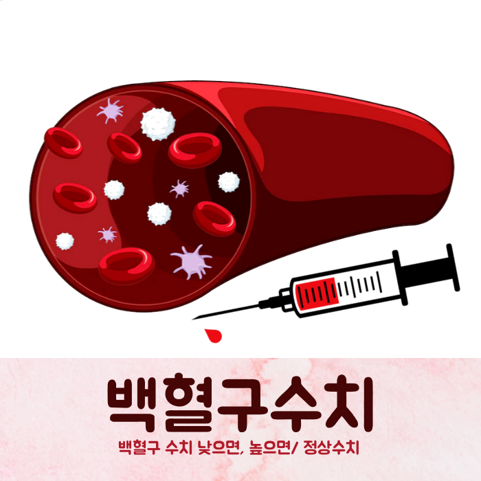 백혈구 수치 낮으면 높으면 백혈구wbc검사 정상수치 네이버 블로그