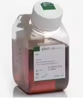 Trypsin/EDTA/DMEM/BSA/FBS/PBS 이란?_116 : 네이버 블로그