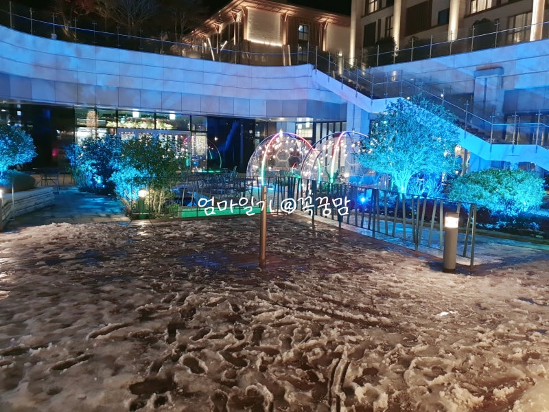 제5탄 아이들과 제주도 겨울여행 제주 신화월드 신화관 신화쇼핑스트리트 신화액티비티 불꽃놀이 솔직 후기🎆 네이버 블로그