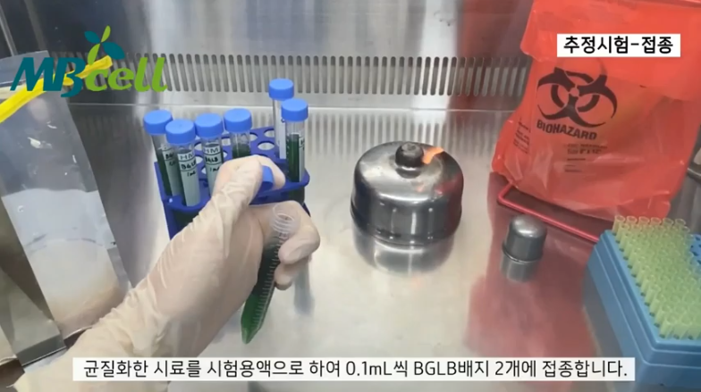 [식품공전 실험] 대장균군 정성시험 - BGLB배지법 / 추정시험, 확정시험, 완전시험 한번에 알아보기/ BGLB 2% ...