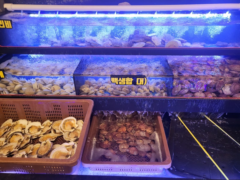 범계 맛집 평촌 맛집 범계 맛집 청춘 무한리필 조개구이 안양범계점 Feat 시간 무제한 고기 포함 네이버 블로그