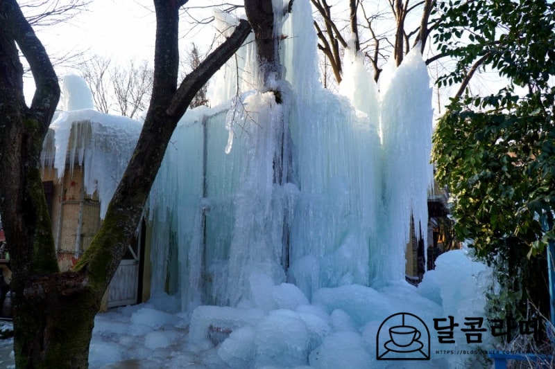 밀양 눈썰매장 겨울 여행 가볼만한곳 얼음골폭포 관광농원 포함 네이버 블로그