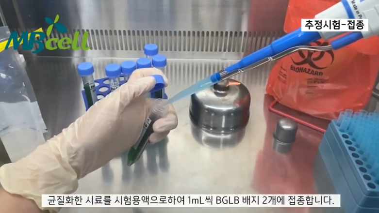 [식품공전 실험] 대장균군 정성시험 - BGLB배지법 / 추정시험, 확정시험, 완전시험 한번에 알아보기/ BGLB 2% ...