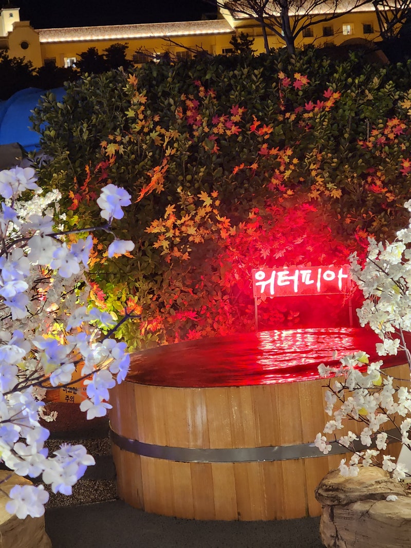 속초여행 속초 한화리조트 설악쏘라노 디럭스나이트스파룸딜리버리 비비큐bbq대포항 소연이네조개구이 오징어순대 포장