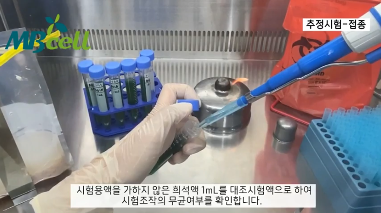 [식품공전 실험] 대장균군 정성시험 - BGLB배지법 / 추정시험, 확정시험, 완전시험 한번에 알아보기/ BGLB 2% ...