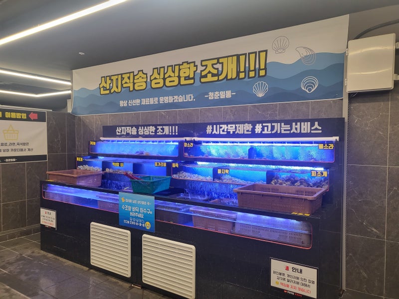 범계 맛집 평촌 맛집 범계 맛집 청춘 무한리필 조개구이 안양범계점 Feat 시간 무제한 고기 포함 네이버 블로그