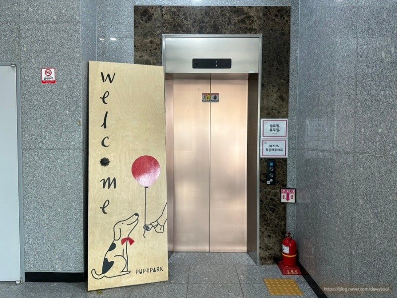 하남 애견카페 천연잔디 애견운동장과 넓은 실내카페까지 만족스러웠던 펍파크 아니고 펖파크 네이버 블로그