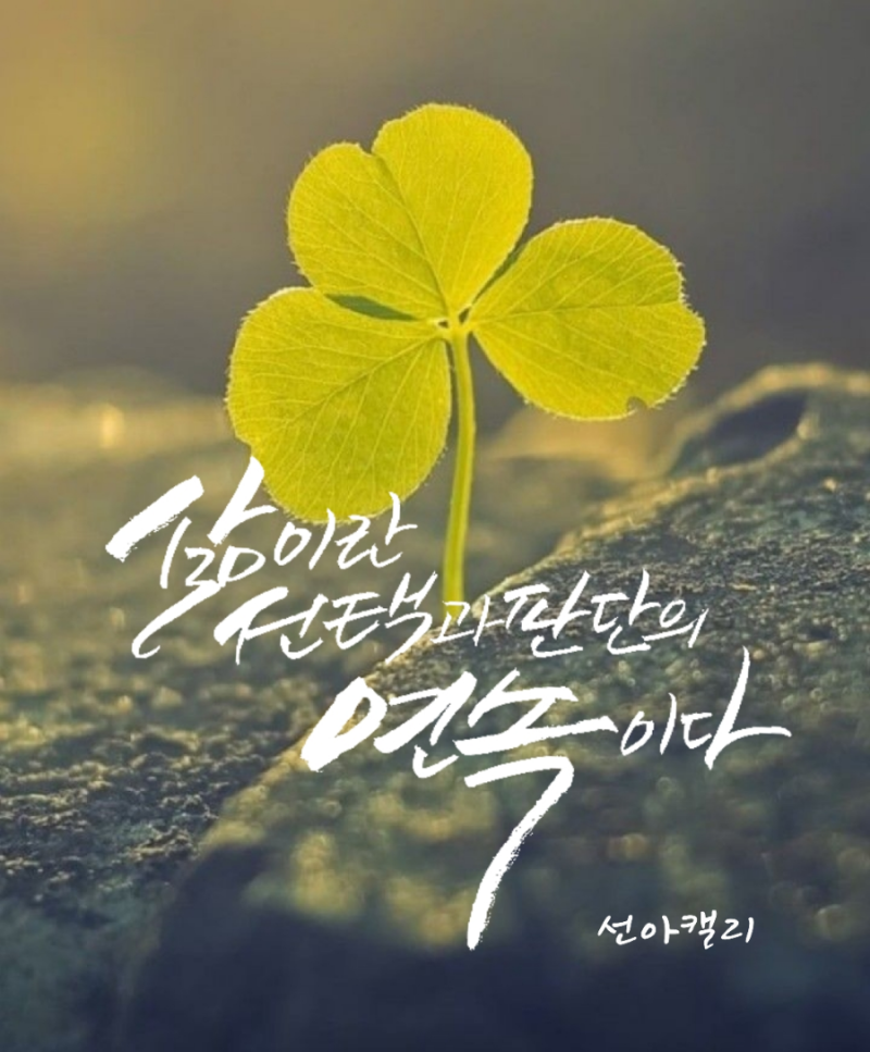 매일쓰는 캘리그라피 구슬 쌓기 캘리그라피배우기 영상포함 2023년 새취미 만들어보세요 손글씨 짧은문구 짧고좋은문장