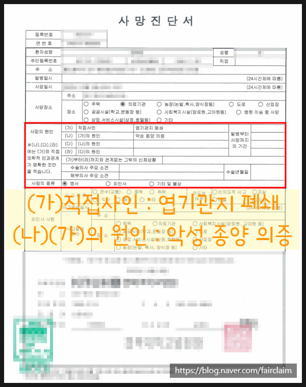 악성 종양 의증으로 사망진단서 발급되었나요 암진단비 검토가 필요합니다 네이버 블로그