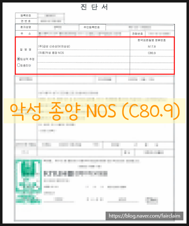 악성 종양 의증으로 사망진단서 발급되었나요 암진단비 검토가 필요합니다 네이버 블로그