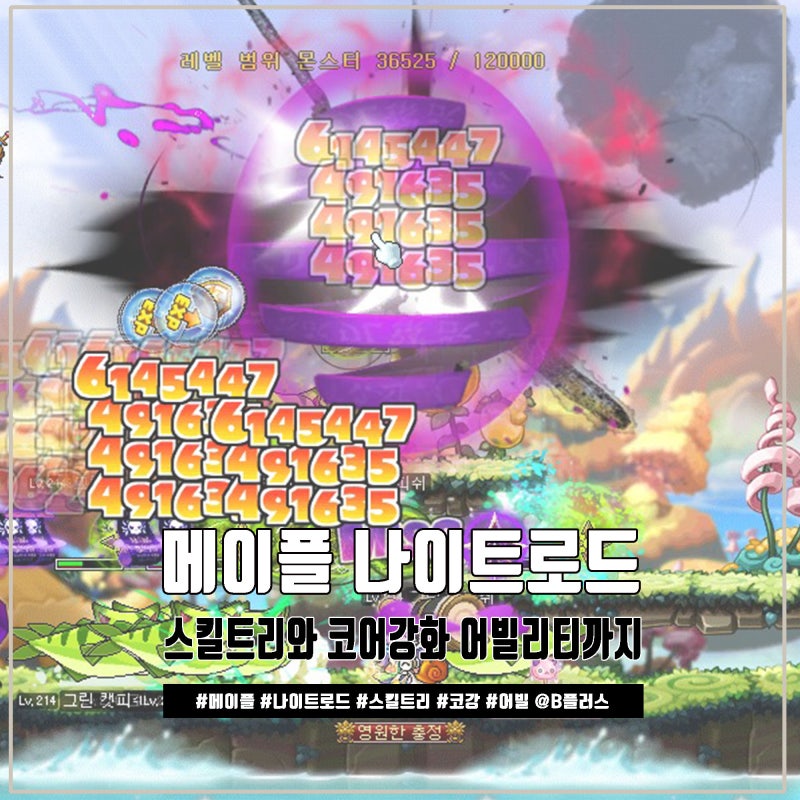 메이플 나로 코강 어빌리티 나이트로드 스킬트리까지 네이버 블로그