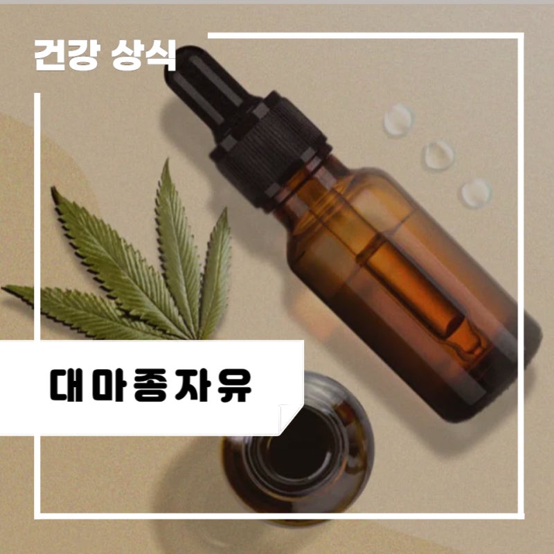 대마종자유 효능 및 부작용 먹는법 햄프씨드 오일대마씨 오일 네이버 블로그