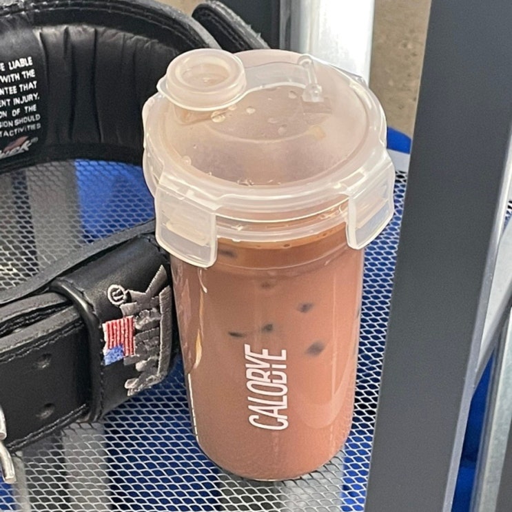 프로틴 파우더 칼로바이 락토프리 고단백 퍼펙트 파워쉐이크 아이솔레이트초코맛