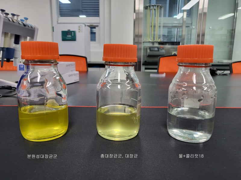 콜리럿18(colilert-18)을 이용한 수질검사키트 실험 : 네이버 블로그