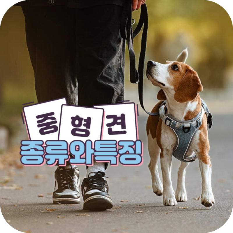 네이버 인플루언서