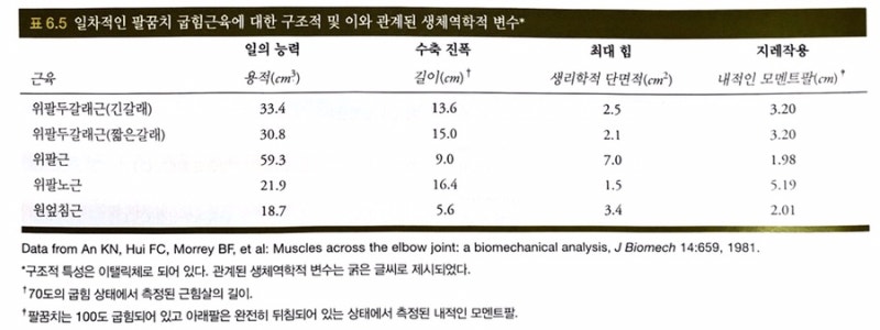 뉴만 키네시올로지 대신 공부해드립니다 15 ~p225 노뼈머리탈구 이두 삼두 네이버 블로그