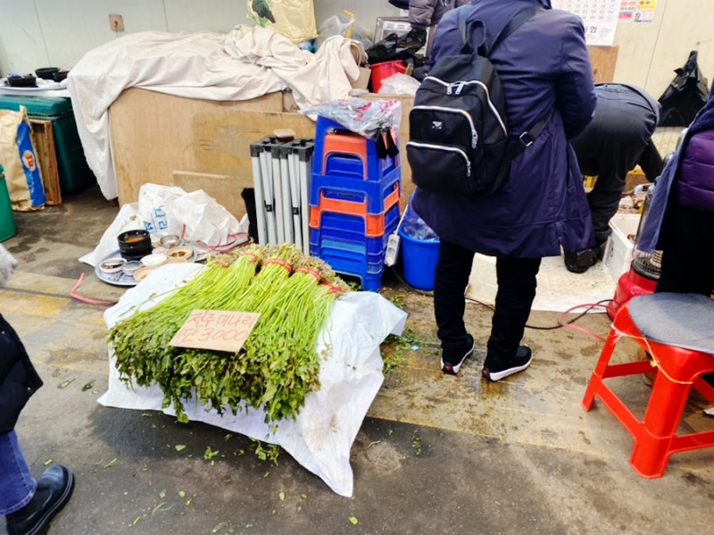 광주 시장 설 대목 앞둔 말바우시장 : 네이버 블로그