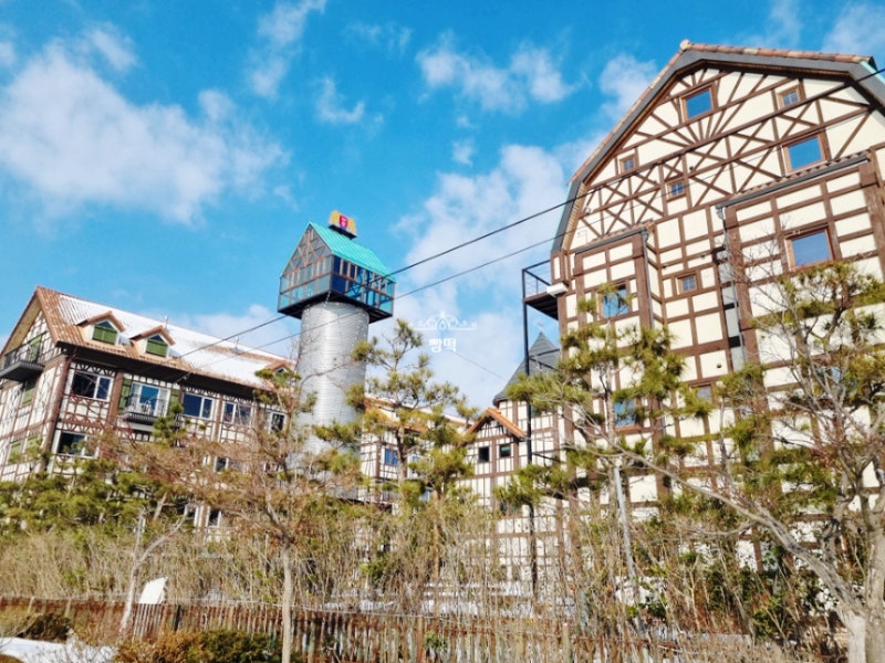 전북 정읍 핫플 유럽마을 엥겔베르그 애프터눈티가 있는 카페 가볼만 한 곳으로 강추내돈내산 네이버 블로그