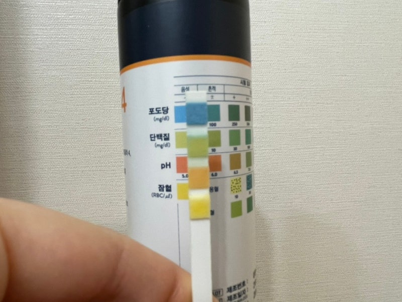 임산부 소변 거품 포도당 쿠팡에서 구매한 애보트 유로칼라 유린 당뇨 단백뇨 뇨 소변 검사지 소변검사스틱 4종 100매입